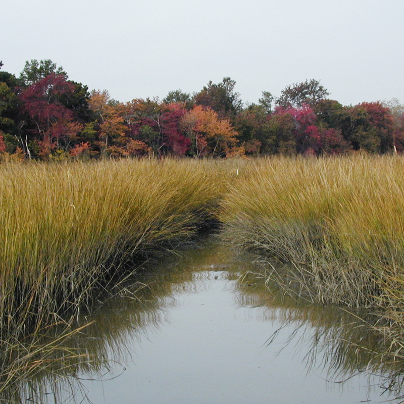 Natural Events Calendar - CU Maurice River